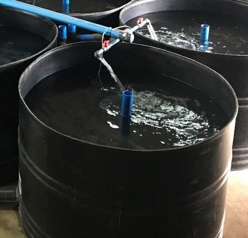 Flow Rate vs Circulation Rate vs Exchange Rate | Blogs | Aquaculture ...